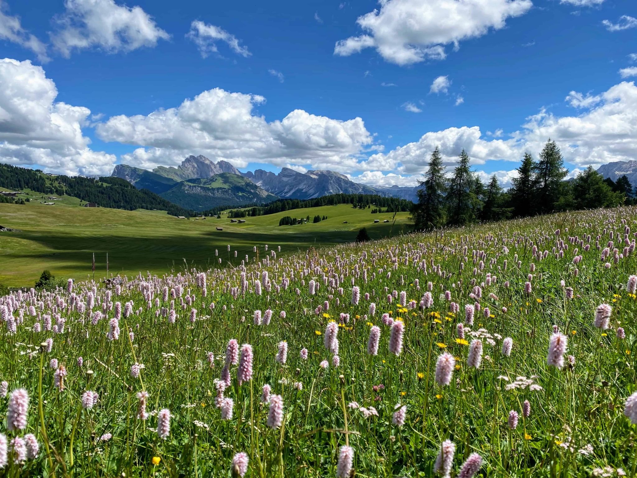 ALPE DI SIUSI OR SECEDA – Which Should You Choose? - Mom In Italy