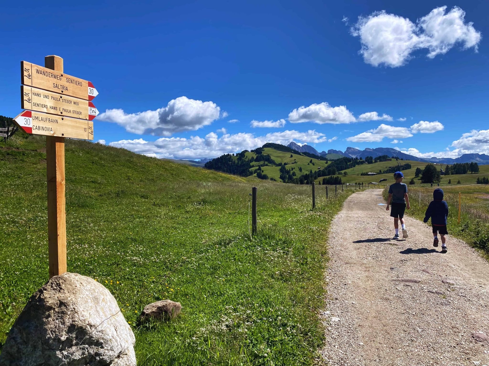 HUGO COCKTAIL RECIPE – Straight from South Tyrol - Mom In Italy