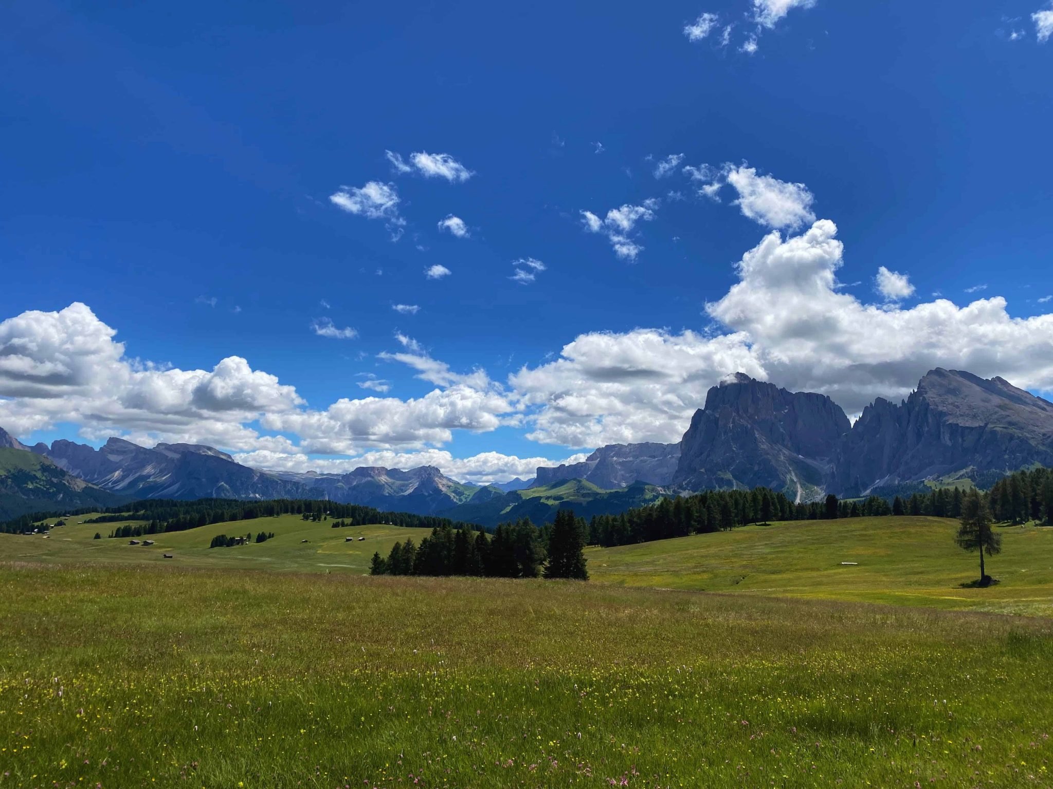 8 TIPS FOR VISITING ALPE DI SIUSI (SEISER ALM) WITH KIDS – From a Mom ...