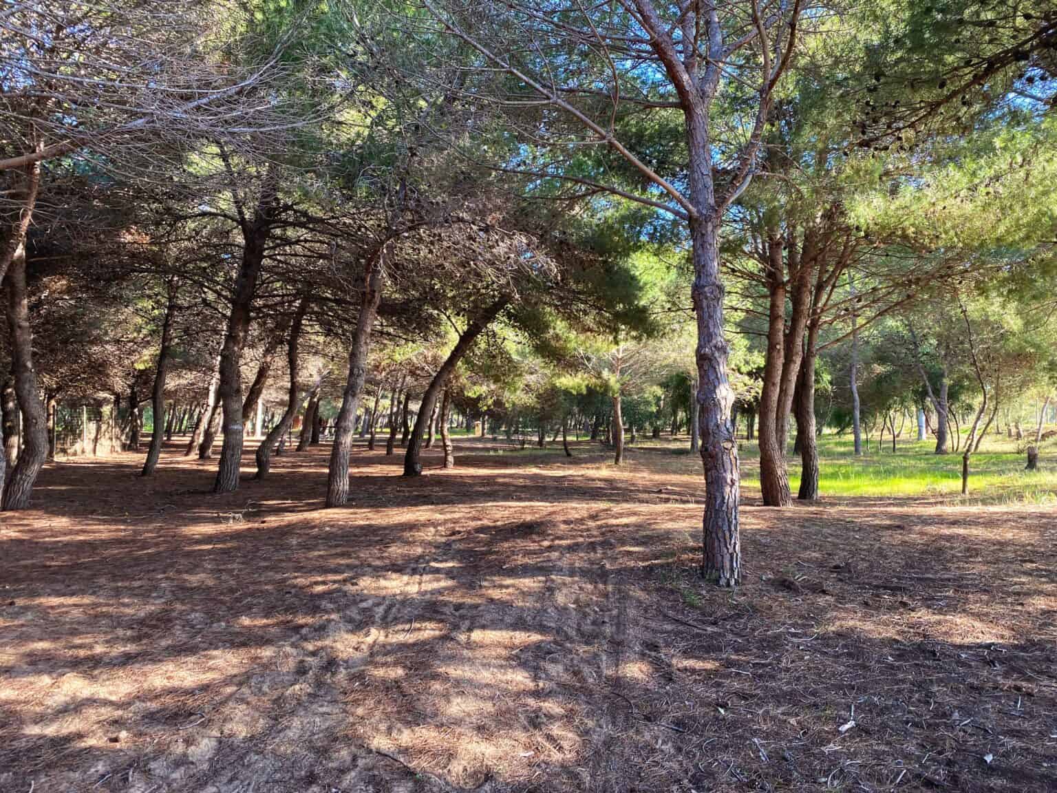 SAMPIERI, SICILY – A Family-Friendly Beach Town on the Southern Coast ...