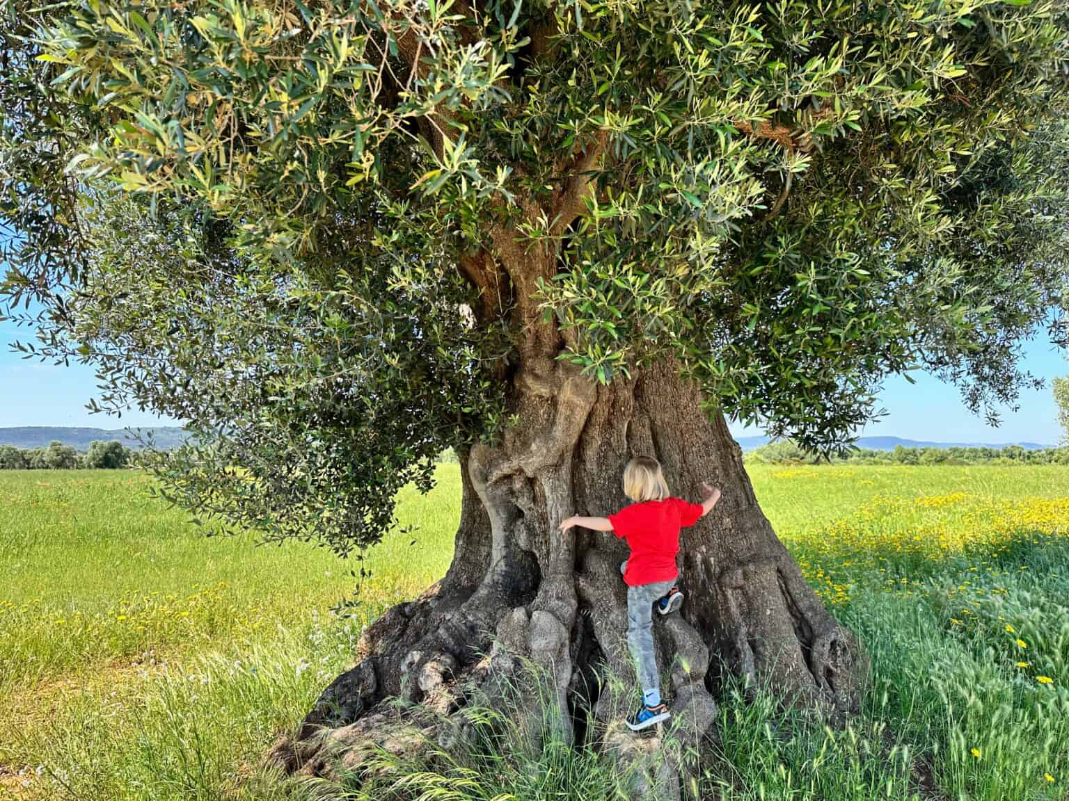 Your Resource for Travel & Life in Italy - Mom In Italy