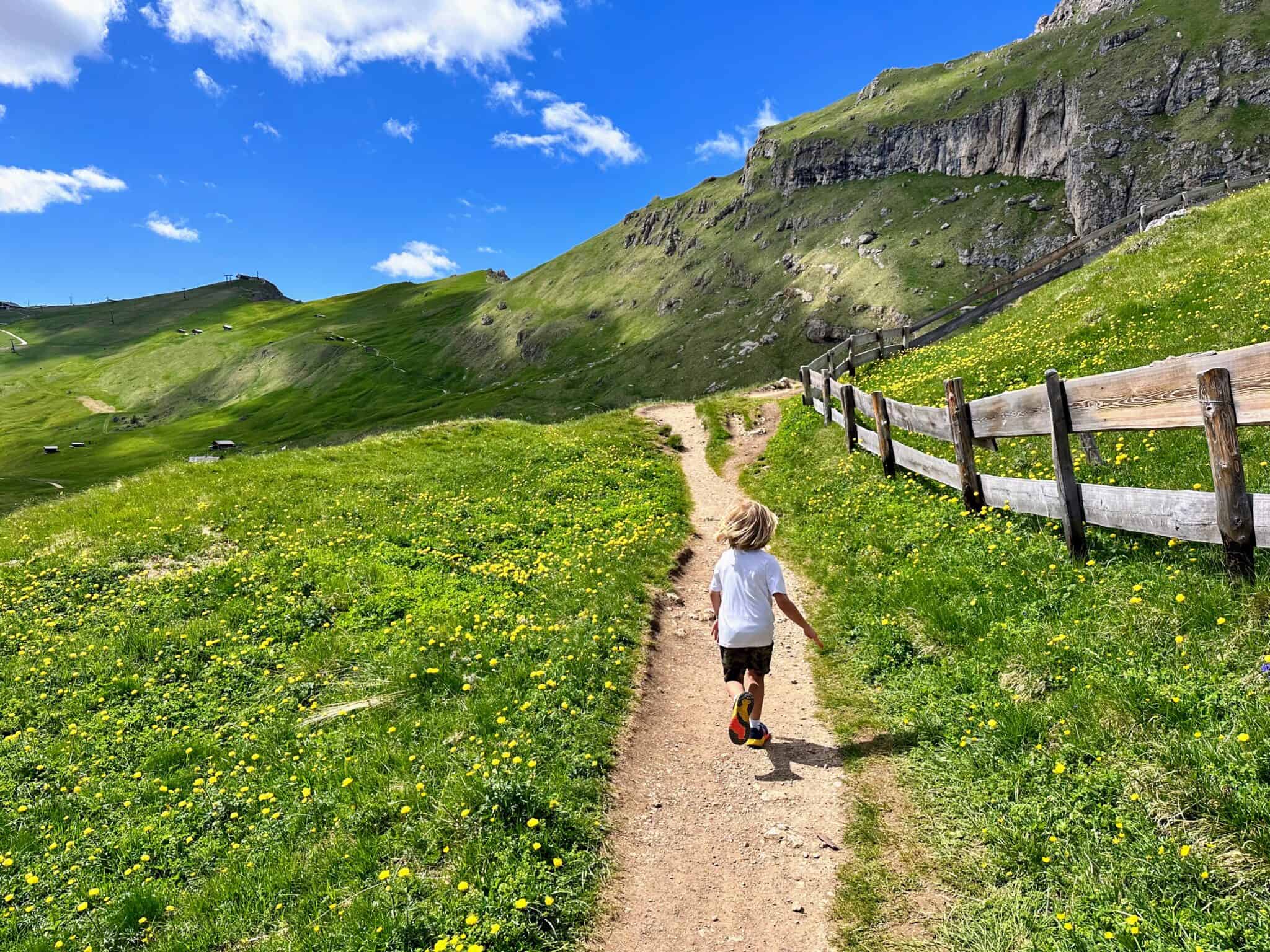 SECEDA (DOLOMITES) WITH KIDS – A Family-Friendly Guide to the ...